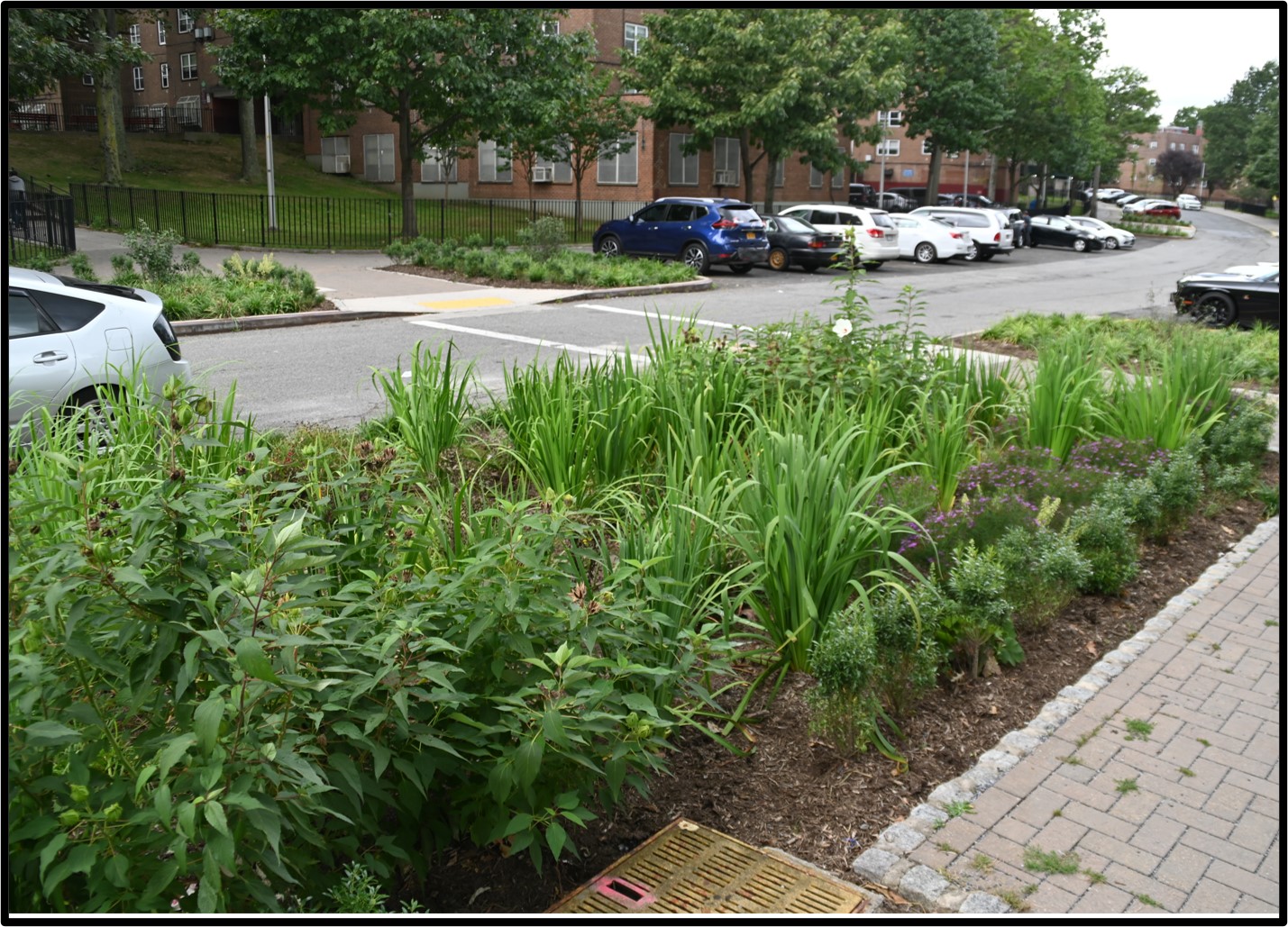 Touring Edenwald to Learn About Green Infrastructure & Climate Change ...