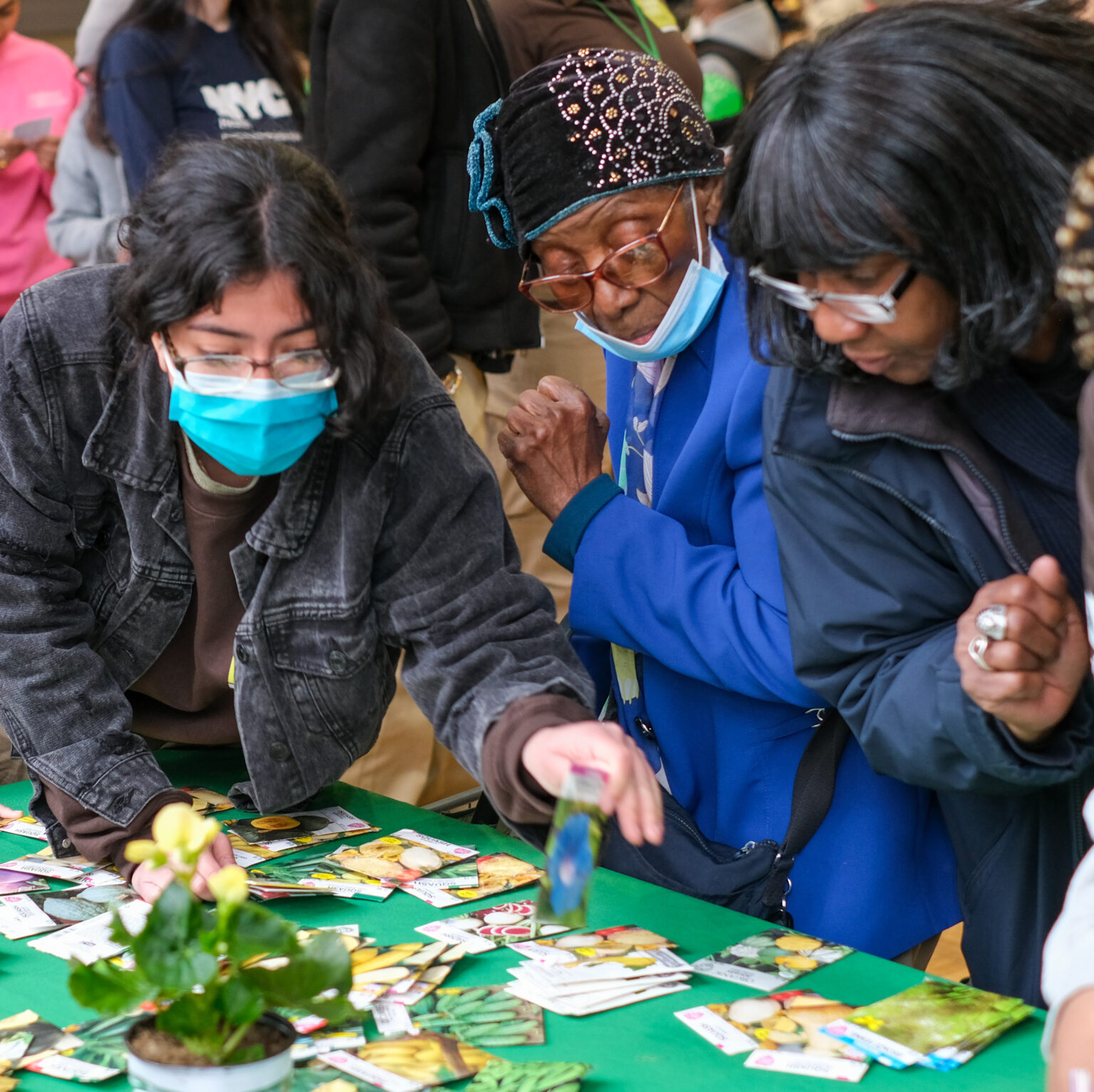 Summer Programs Available to NYCHA Residents - The NYCHA Journal